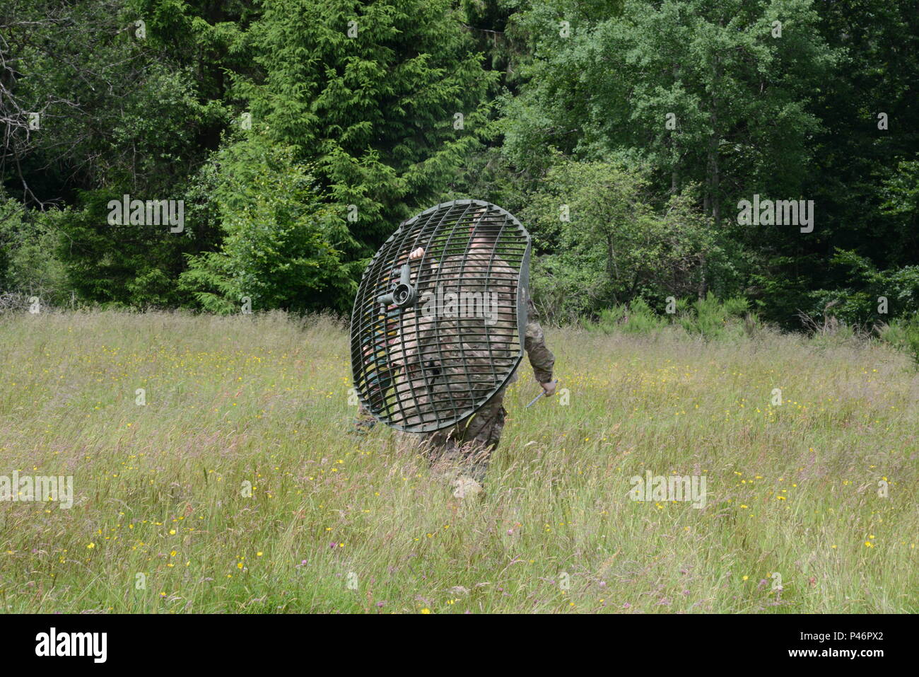 The 39th Signal Battalion and 44th Expeditionary Signal Tactical ...