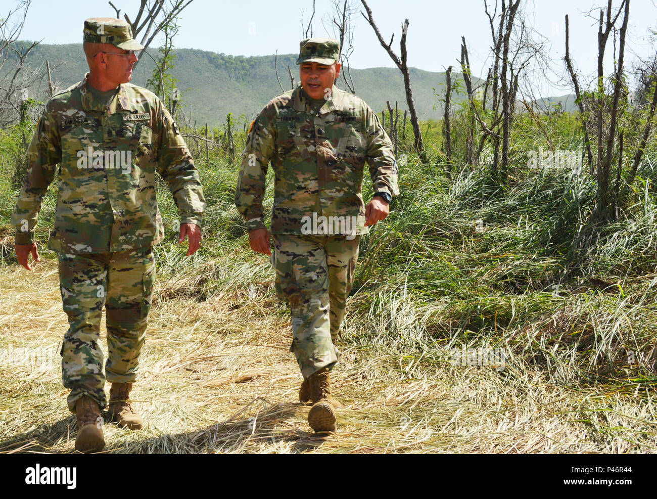 Commander 80th training command hi-res stock photography and images - Alamy