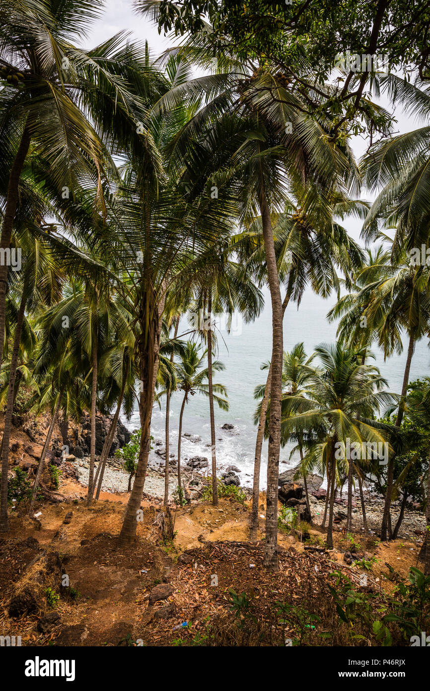 Landscape of GOA in spring Stock Photo - Alamy