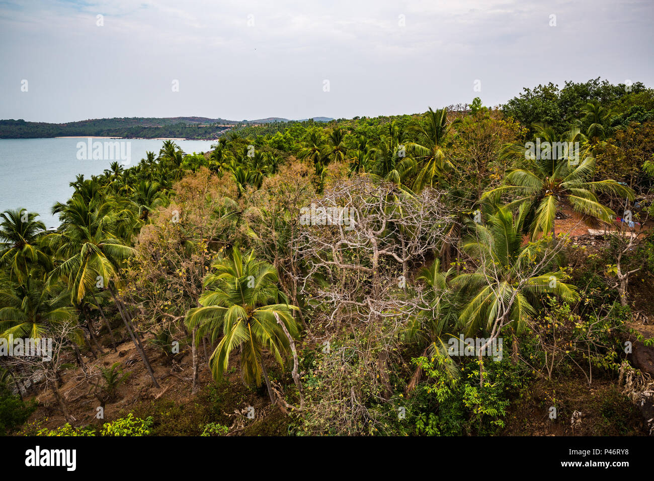Sunny beaches of goa hi-res stock photography and images - Alamy