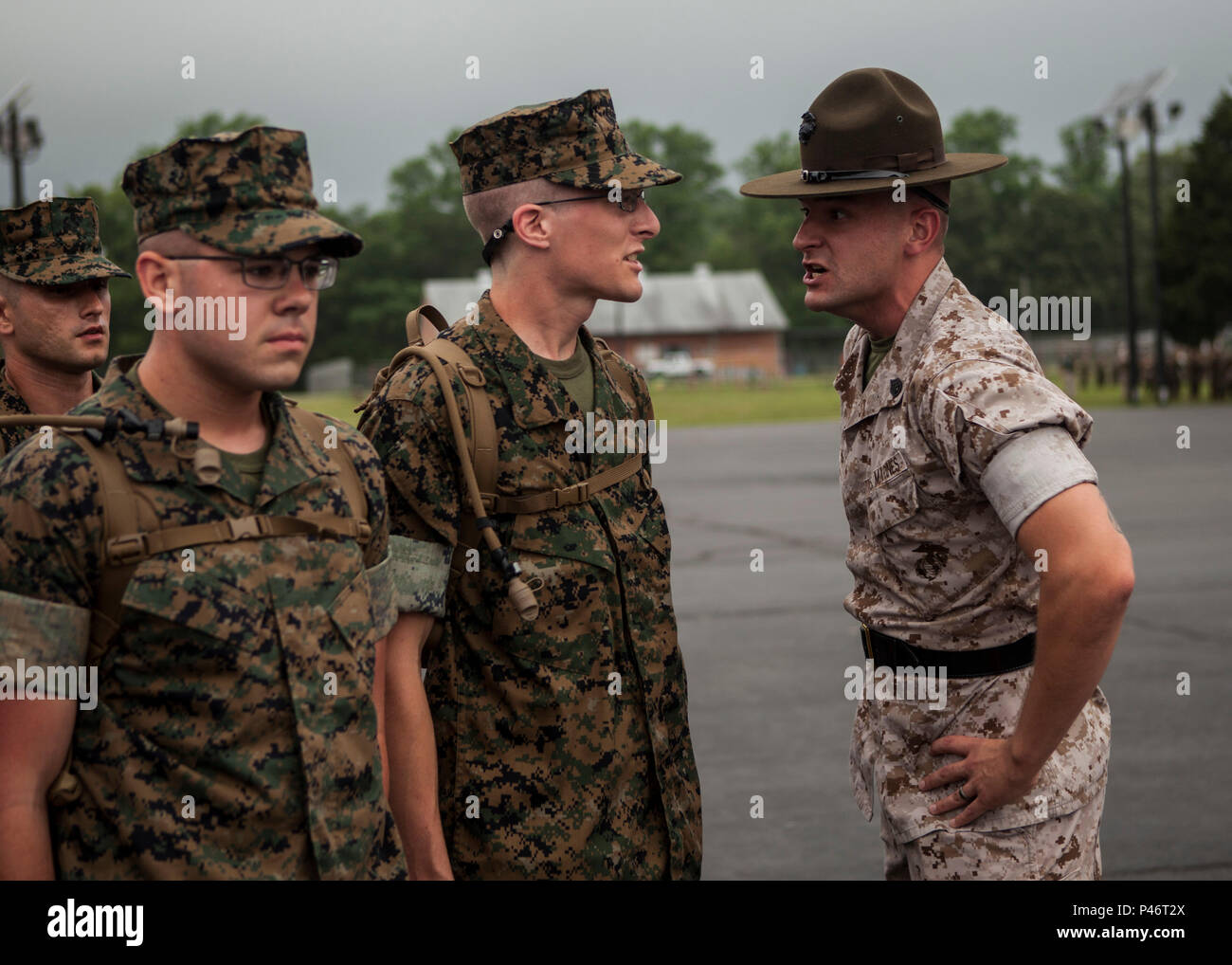 Candidates with Alpha, Charlie, and Delta Company, Officer Candidate ...