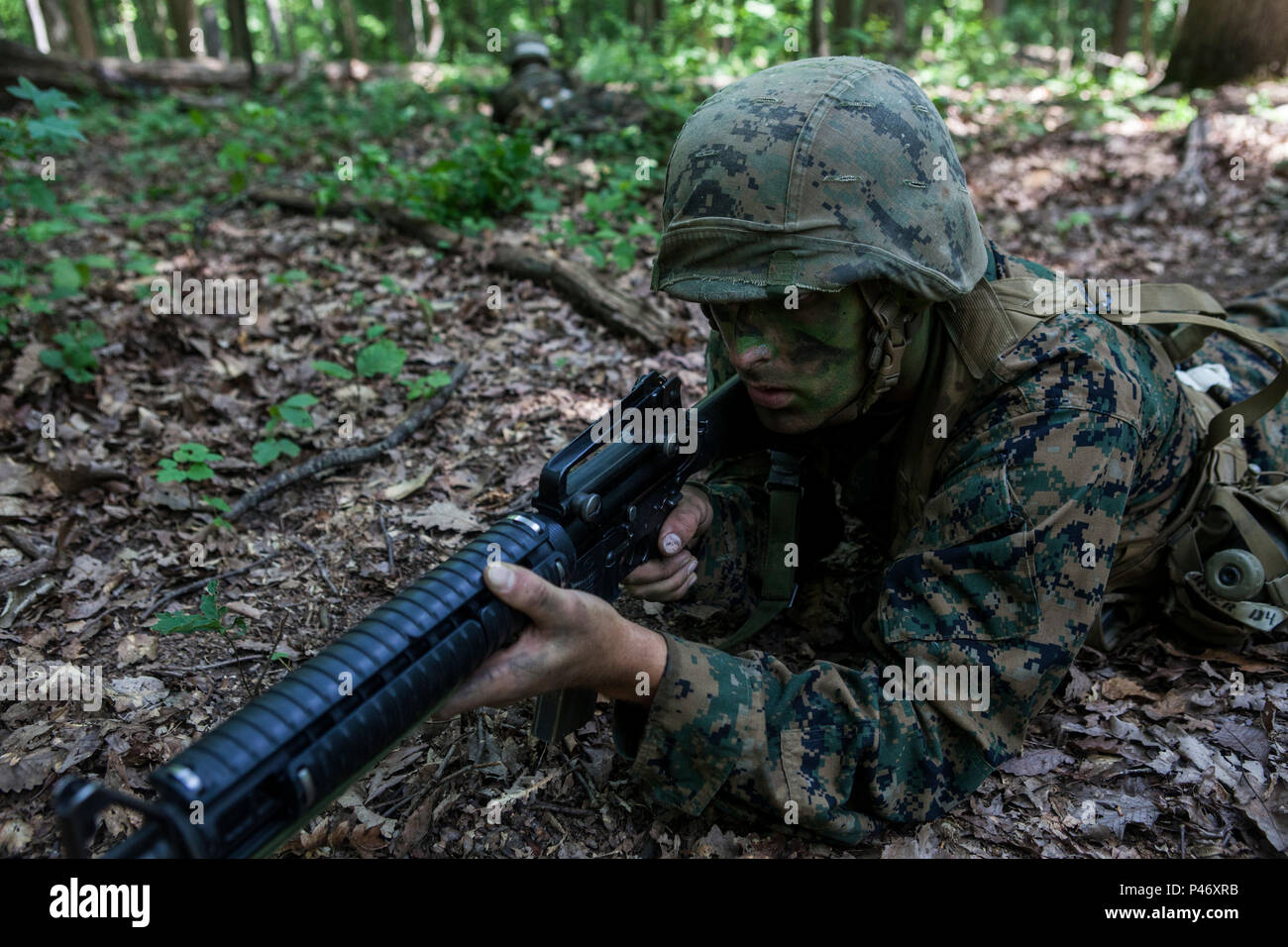 A Candidate with Delta Company, Officer Candidate School (OCS) conducts ...