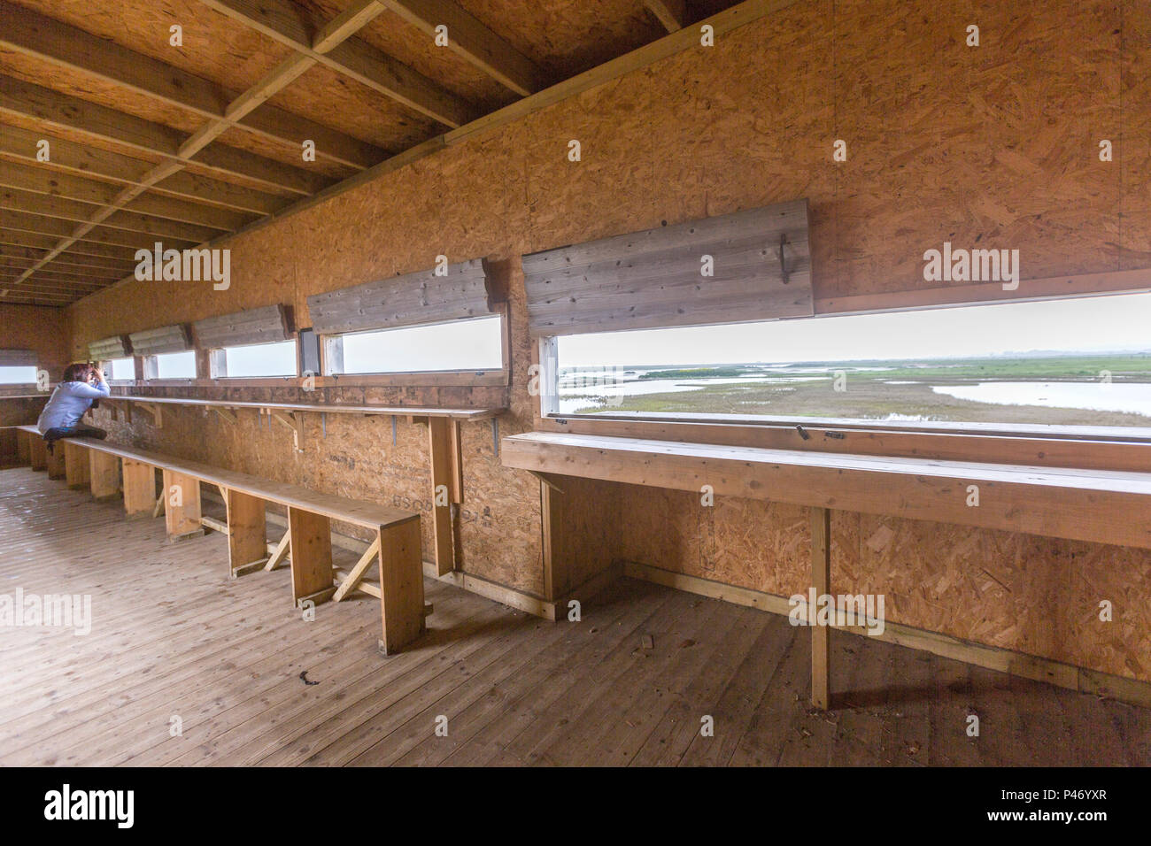 Woman and bird hi-res stock photography and images - Alamy