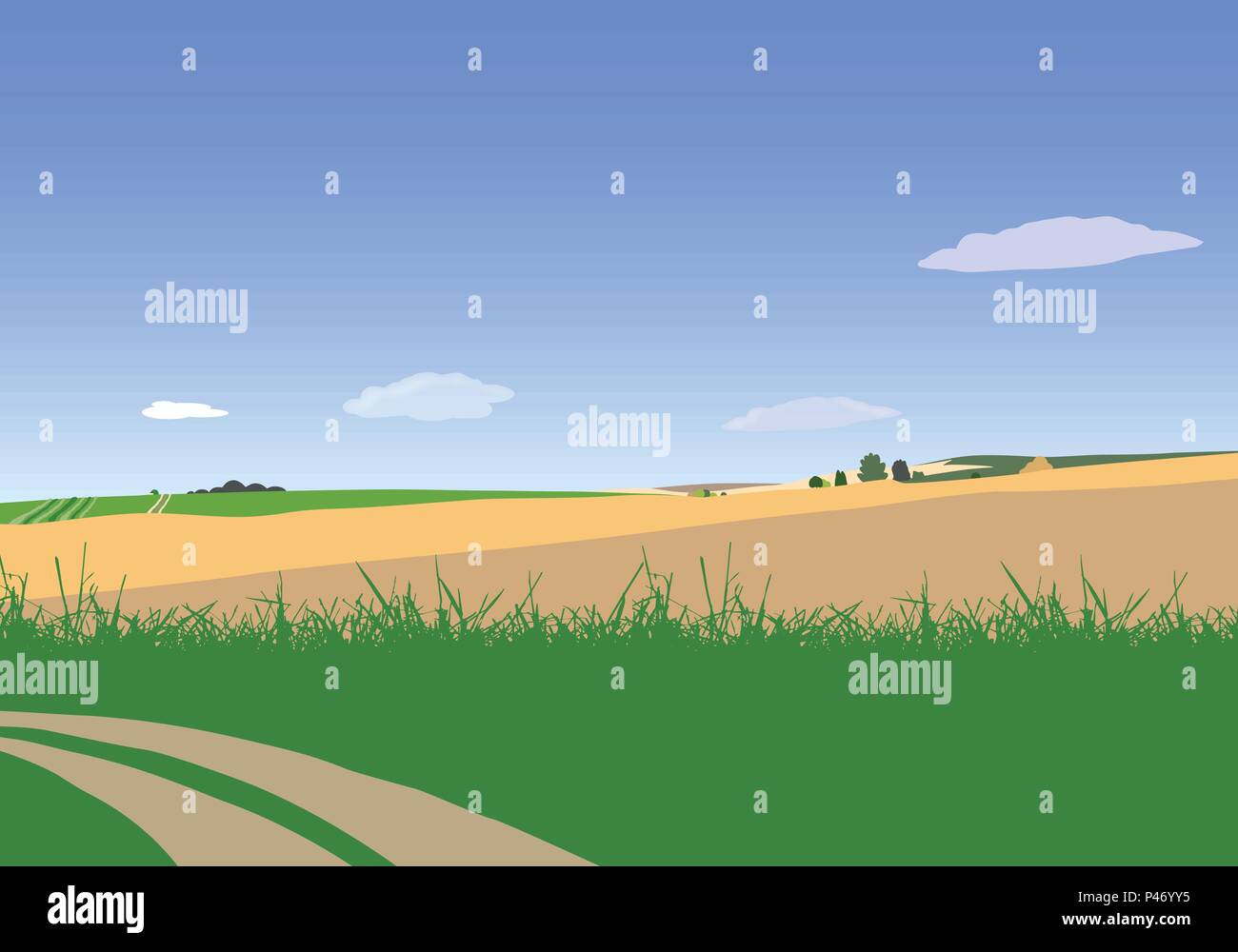 Vector illustration of farmland with grass, path and field under blue ...