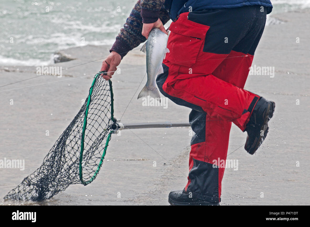 Men fishing for small spring coho salmon at the shore of lake Michigan ...
