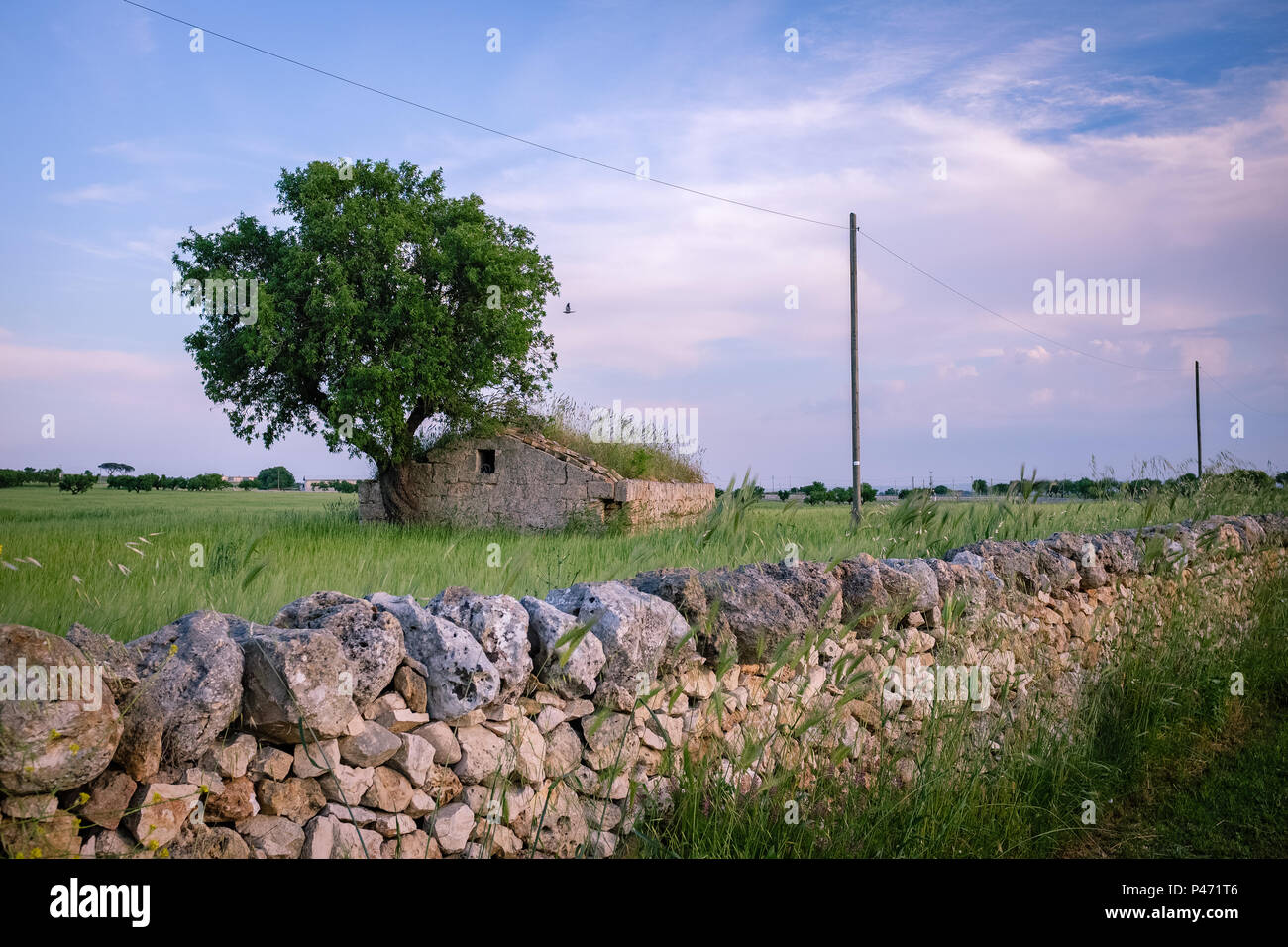 Rural farming hut agriculture hi-res stock photography and images - Alamy