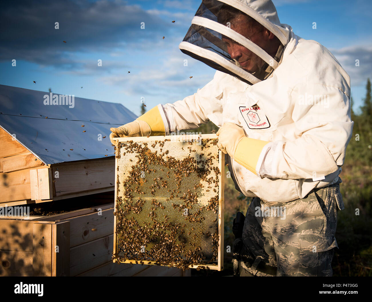 Sgt david hunt hi-res stock photography and images - Alamy