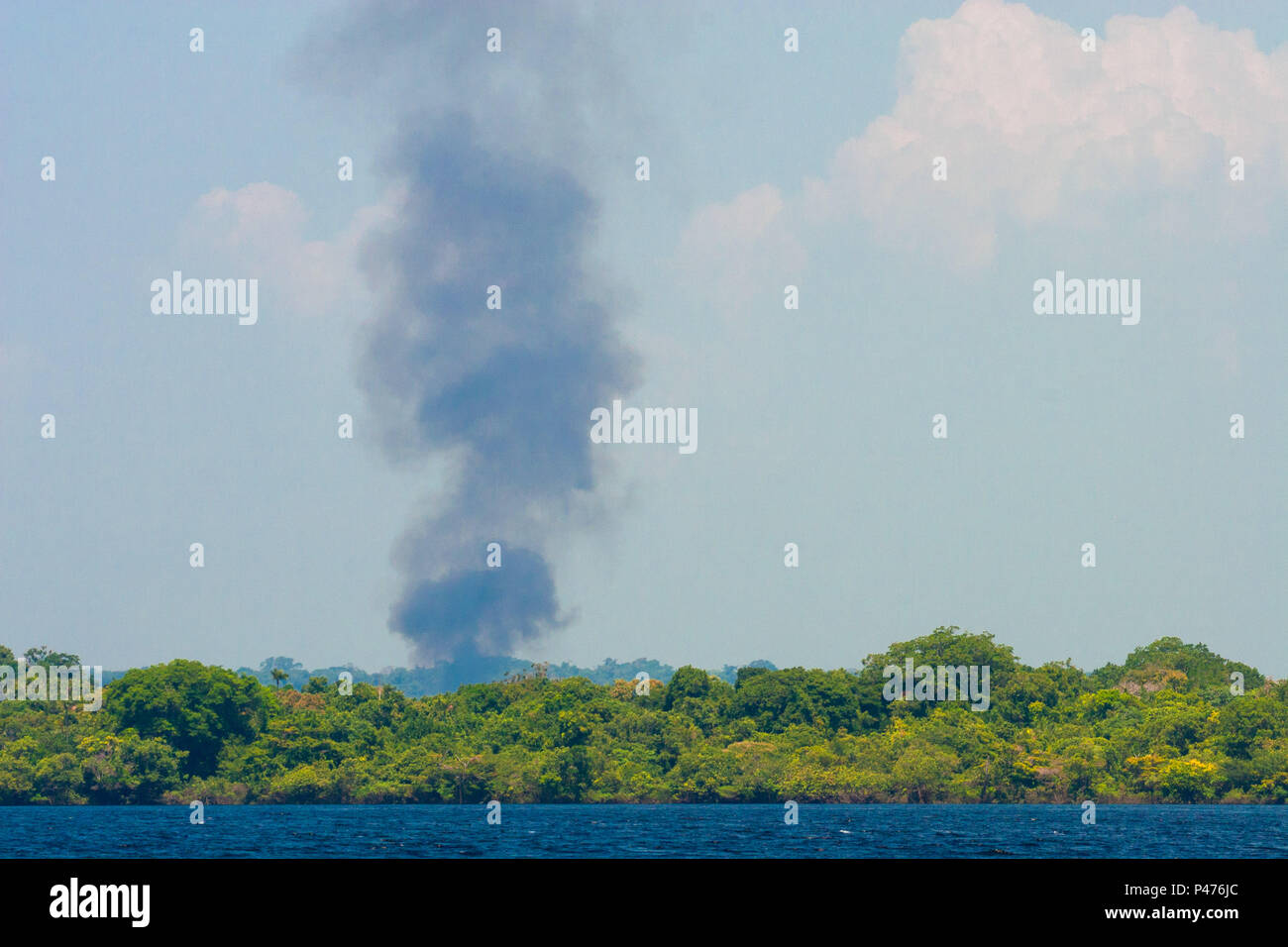 Queimada às margens do Rio Negro, região amazônica. Manaus / Amazonas ...