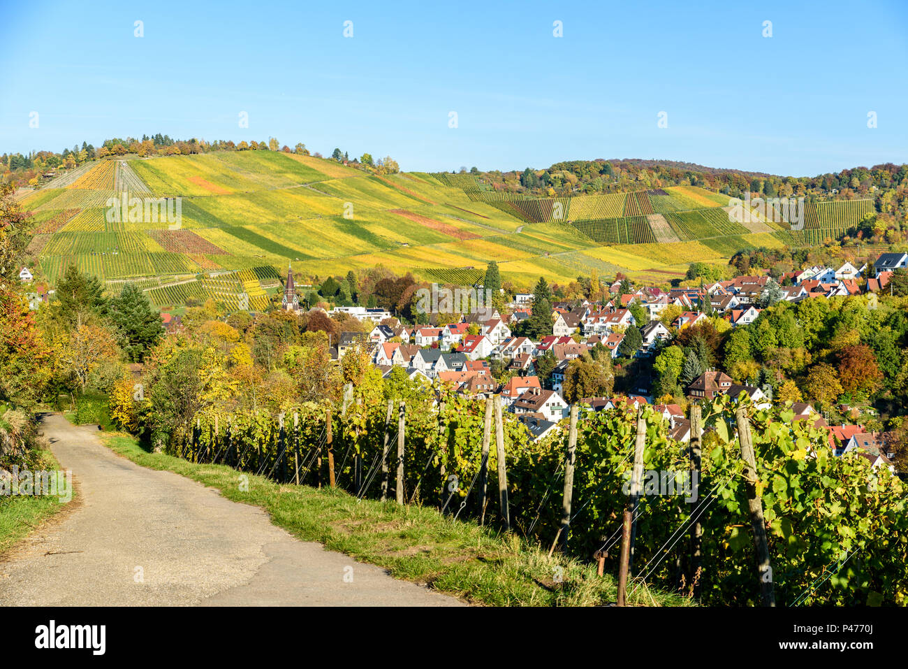 Vineyards at Stuttgart, Uhlbach at the Neckar Valley - beautiful ...