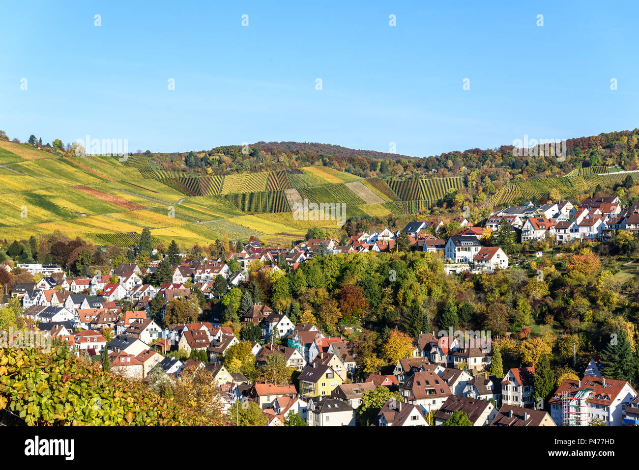 Vineyards at Stuttgart, Uhlbach at the Neckar Valley - beautiful ...