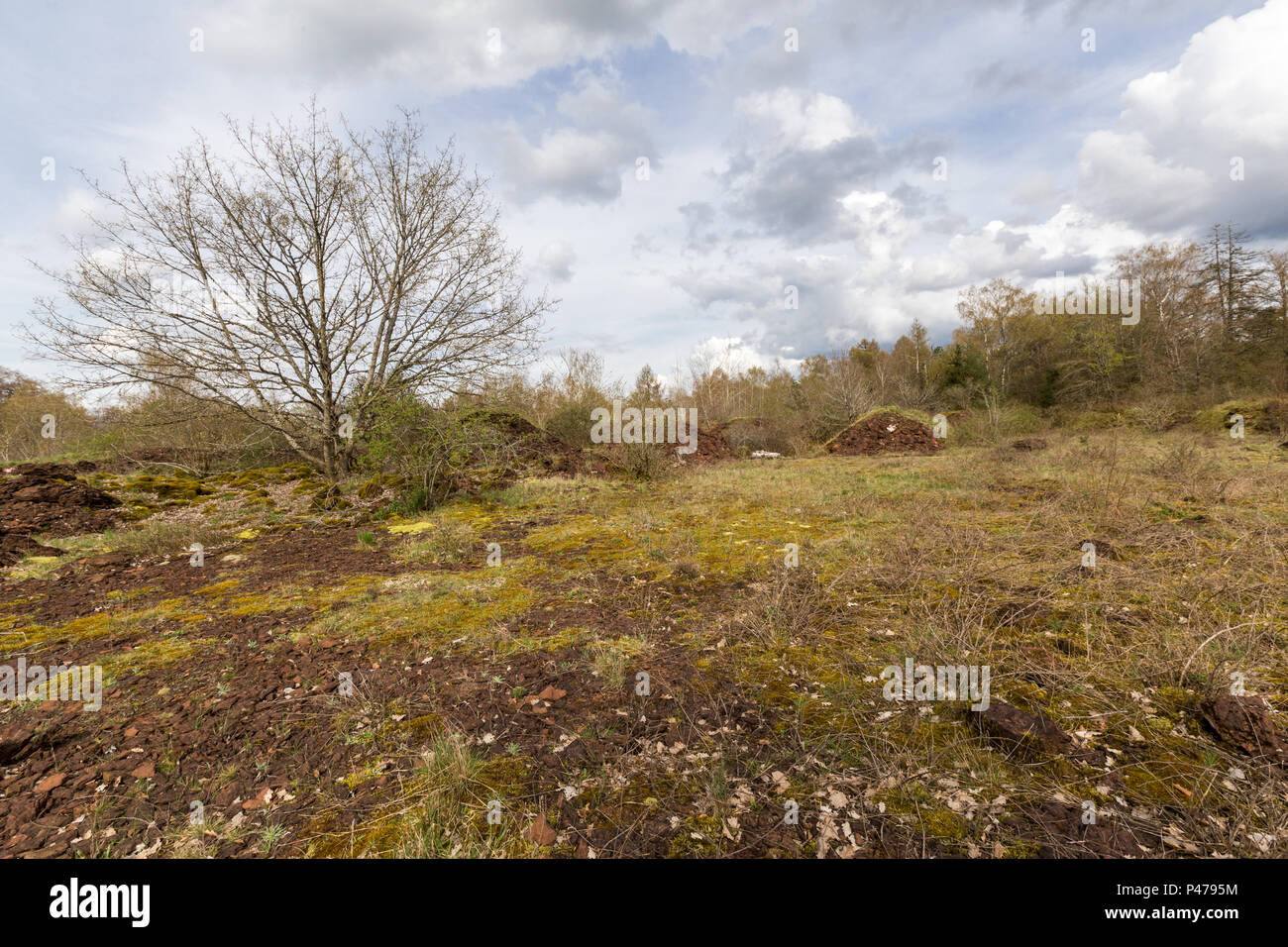 Walk over old mining area Stock Photo - Alamy