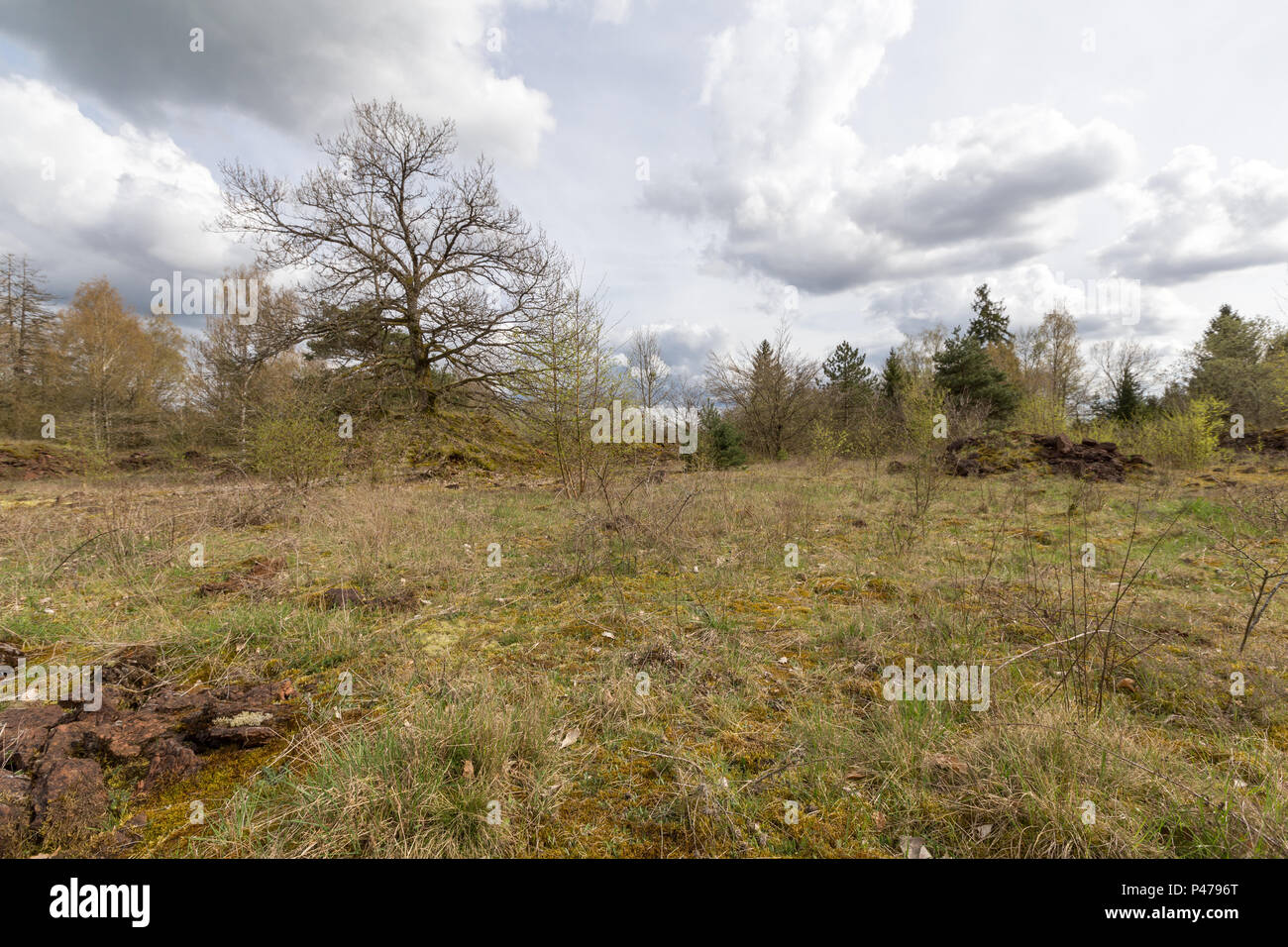 Walk over old mining area Stock Photo - Alamy