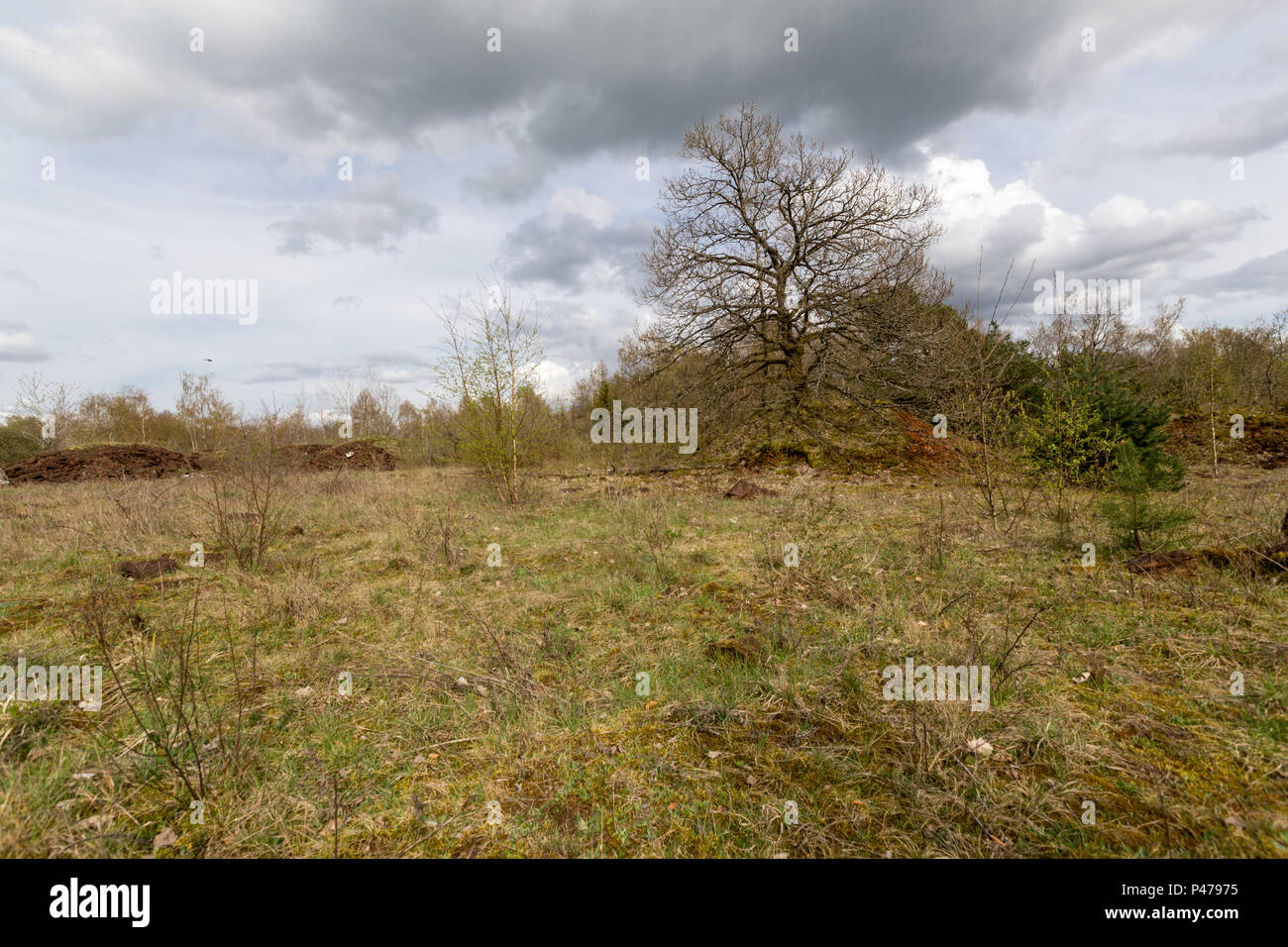 Walk over old mining area Stock Photo - Alamy