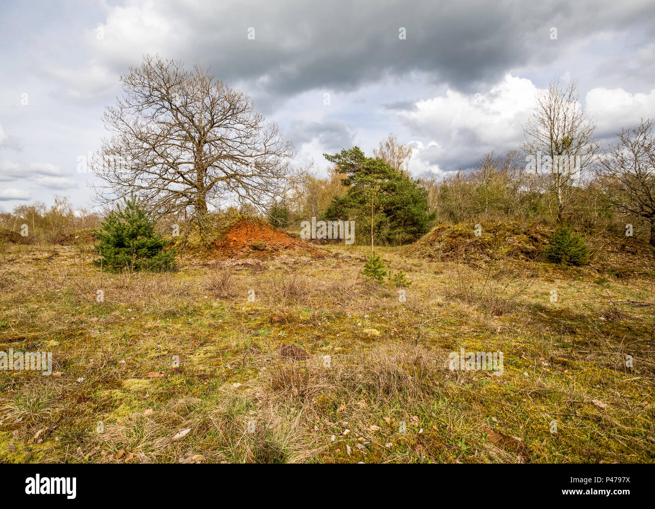 Walk over old mining area Stock Photo - Alamy