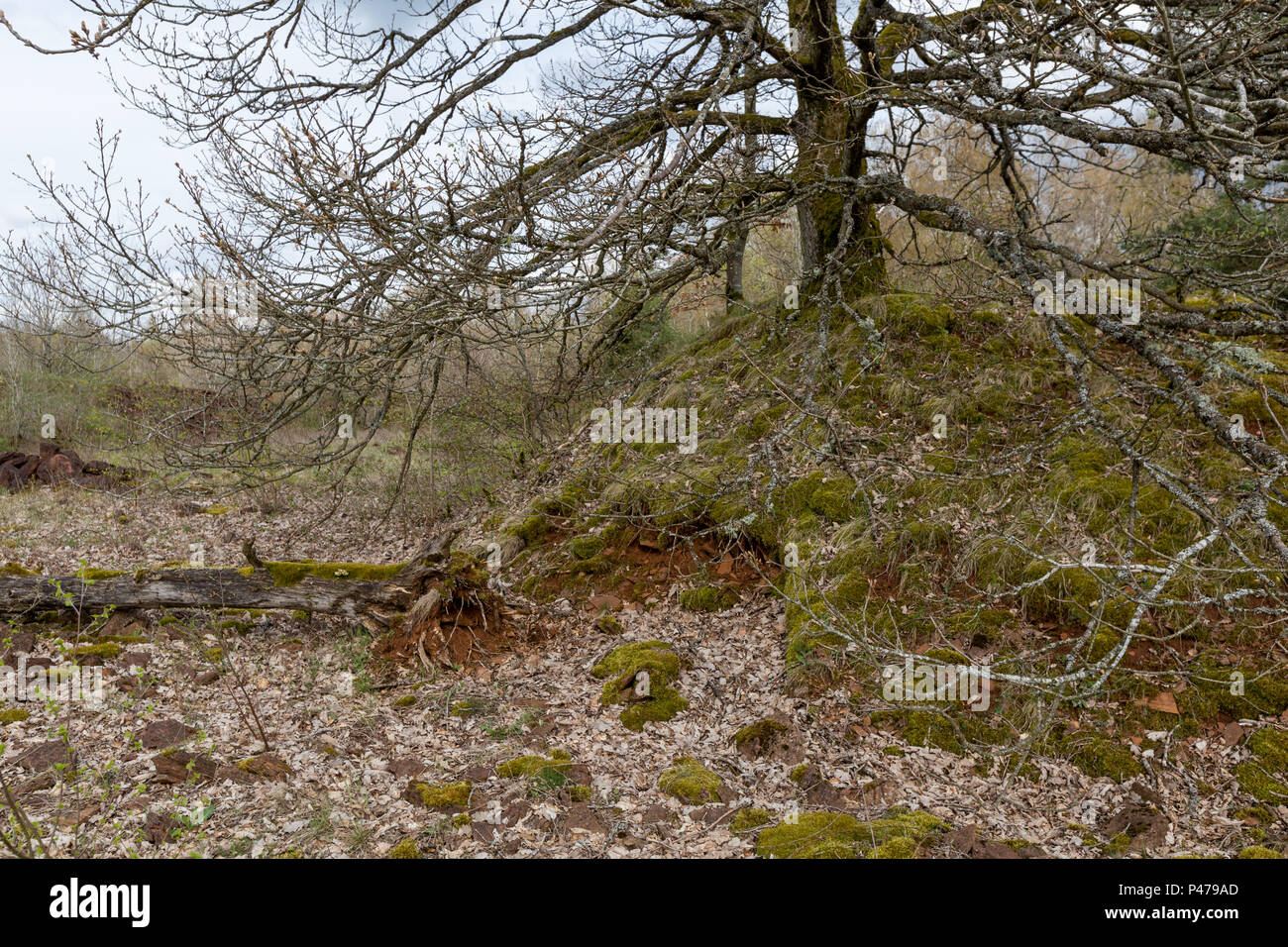 Grass erea hi-res stock photography and images - Alamy