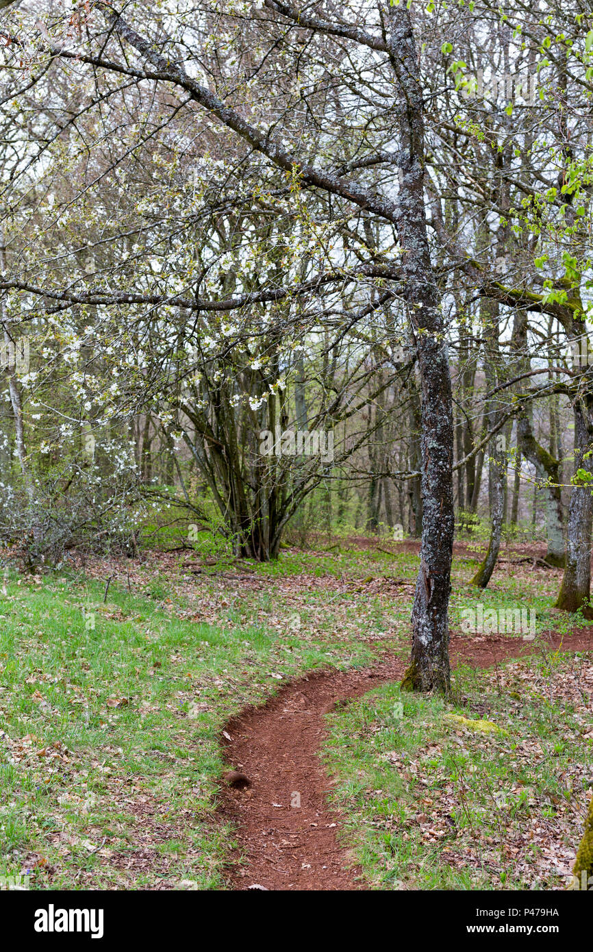 Walk over old mining area Stock Photo - Alamy