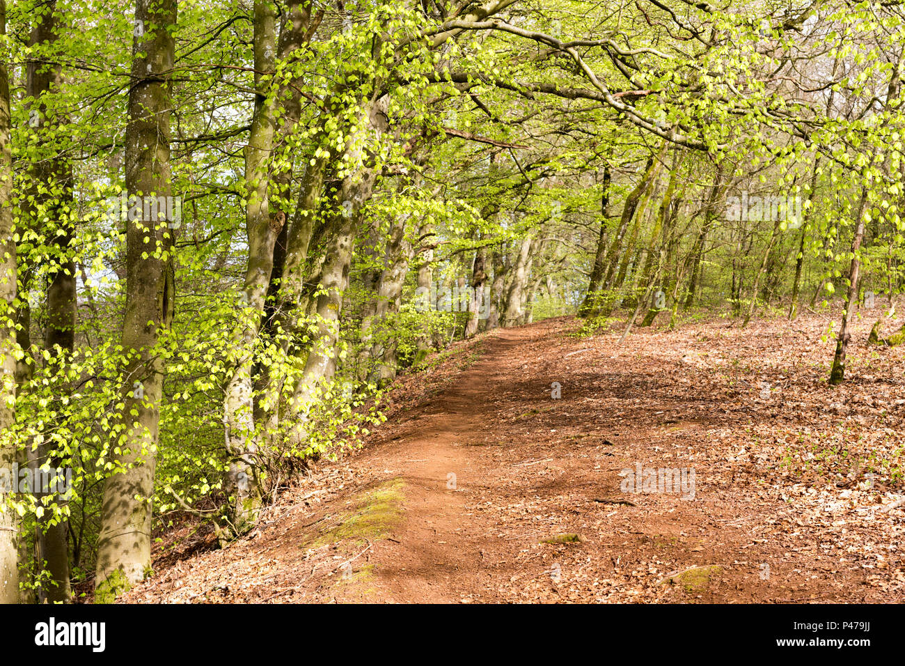 Walk over old mining area Stock Photo - Alamy