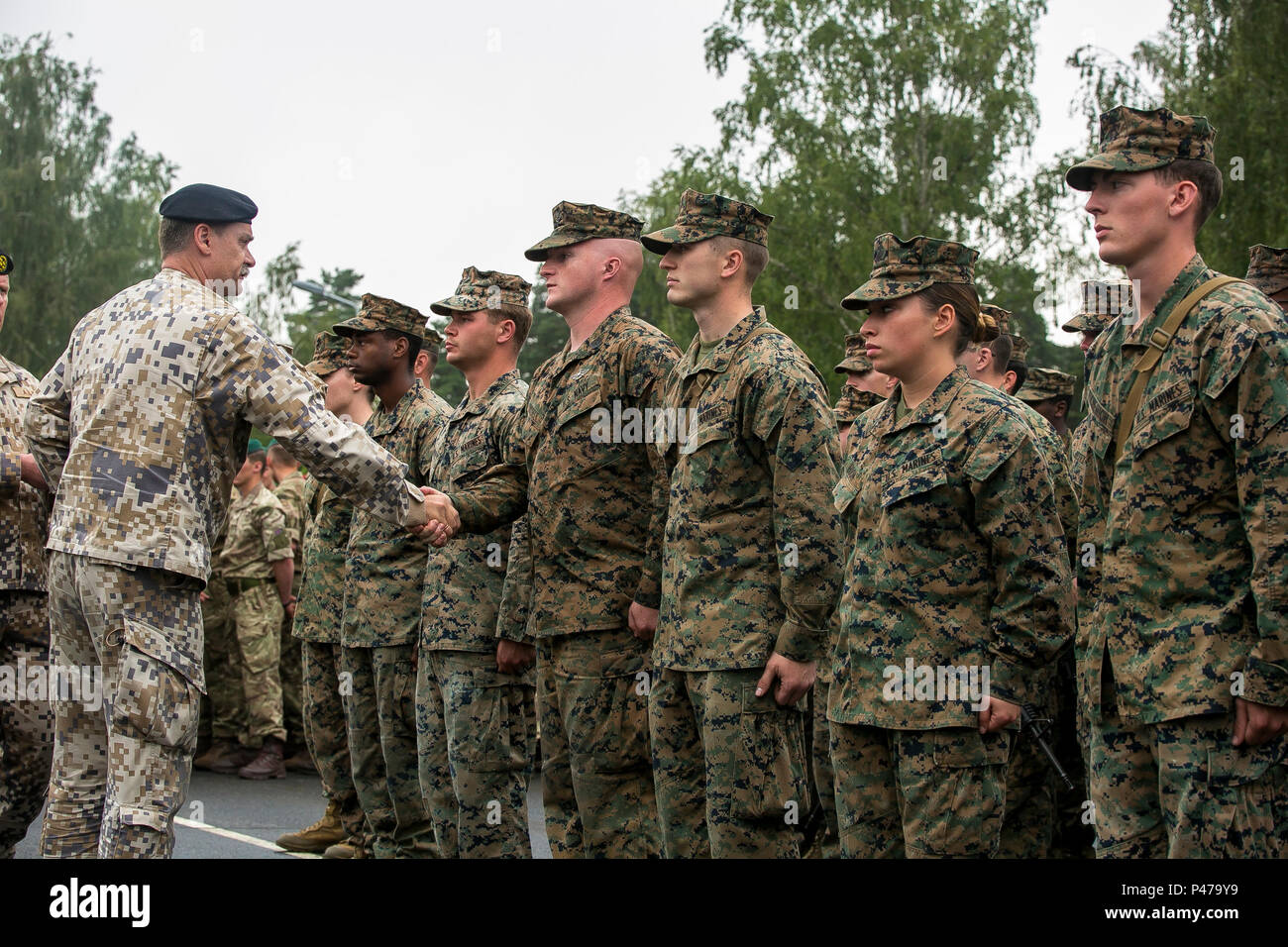 NATO allies shake hands to build and strengthen a lasting partnership ...