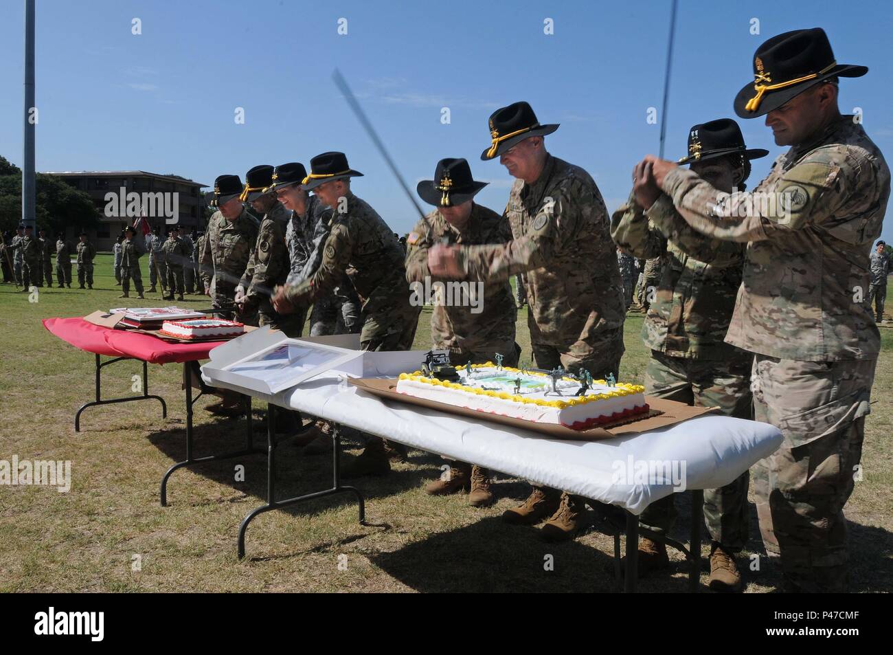 Commanders and first sergeants from each troop within the Regimental ...