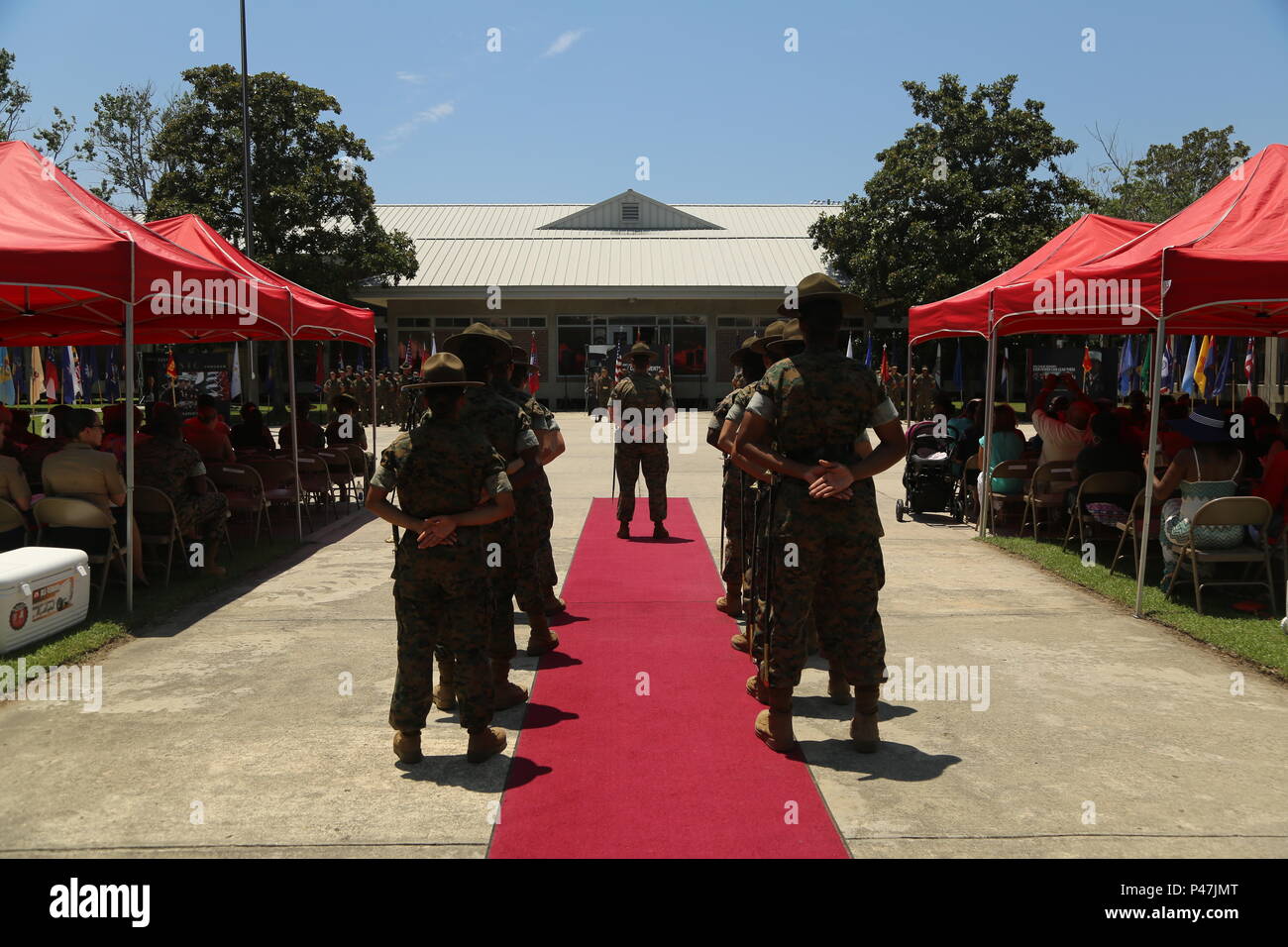 Tricia smith hi-res stock photography and images - Alamy