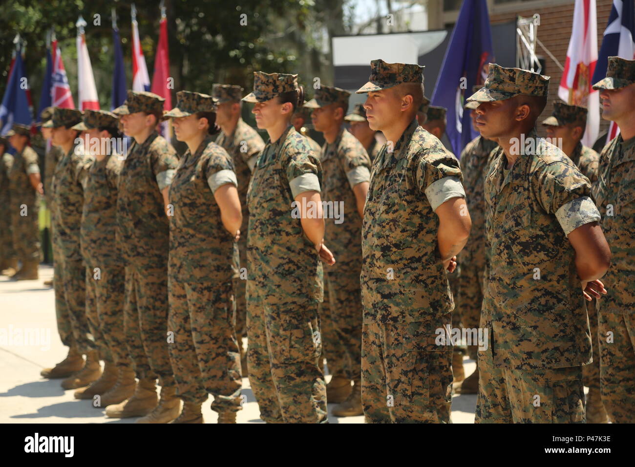 Sgt maj tricia m smith leavy hi-res stock photography and images - Alamy