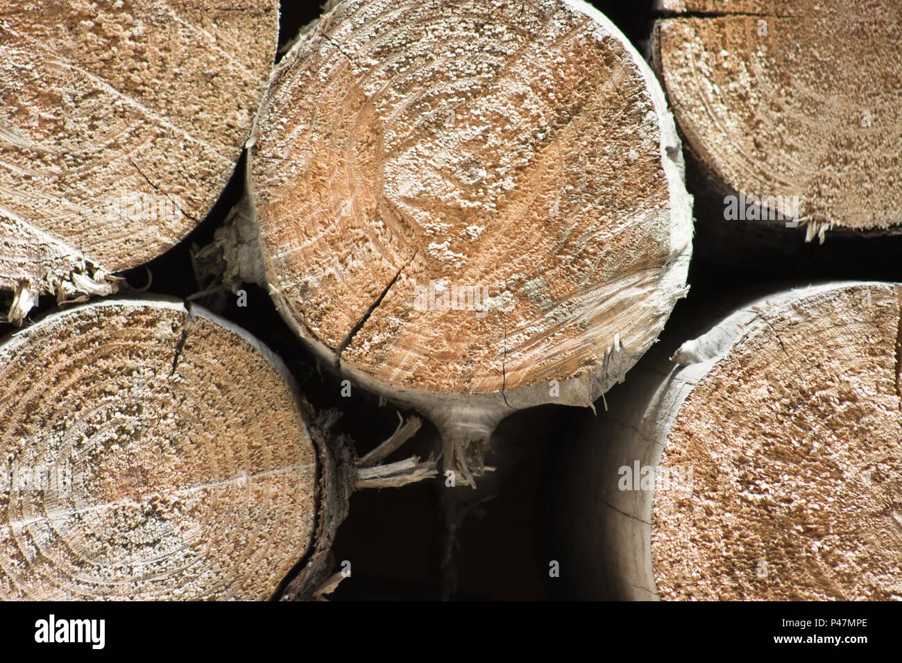 Round logs hi-res stock photography and images - Alamy