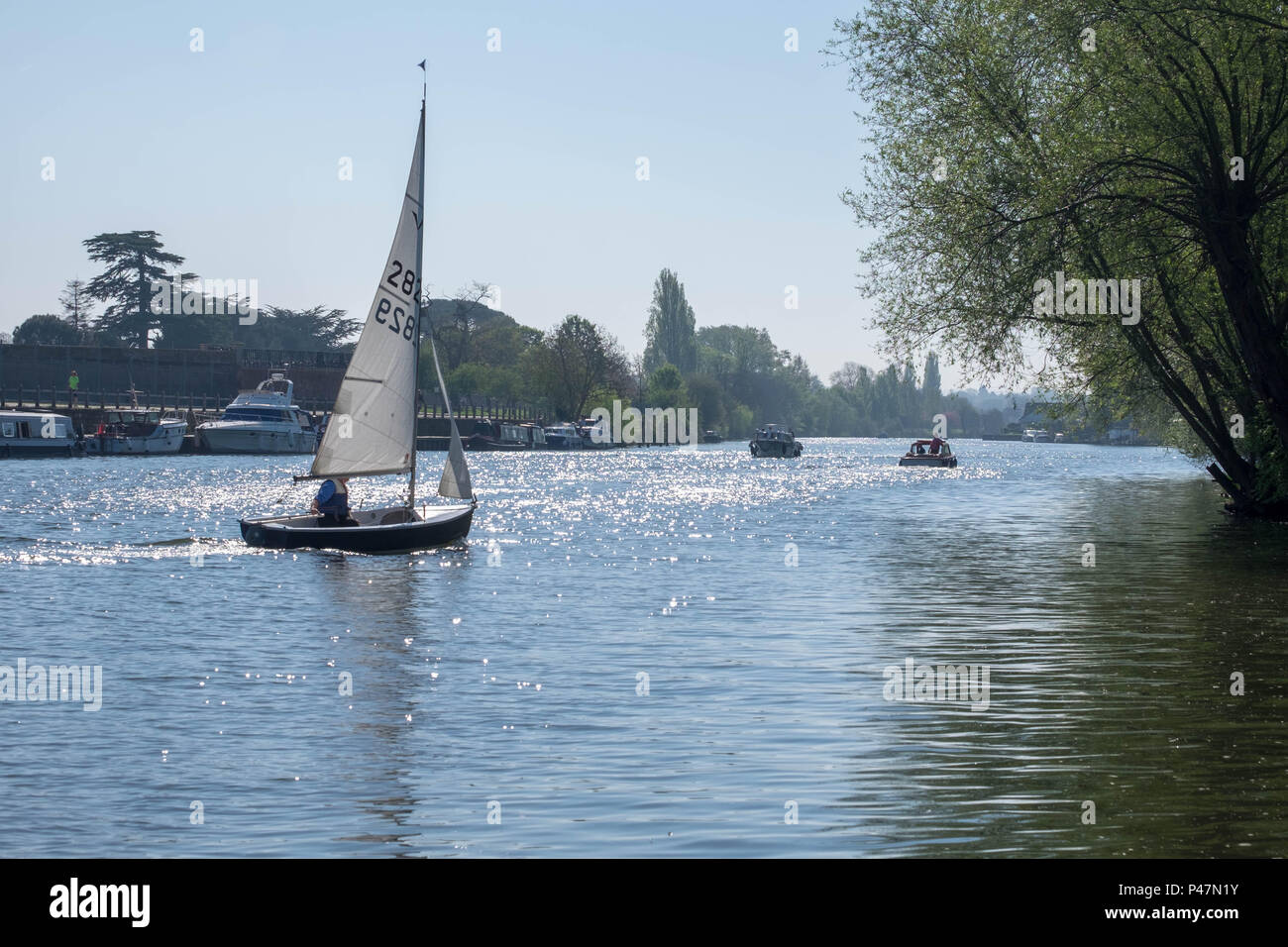 sail boats on the thames Stock Photo - Alamy