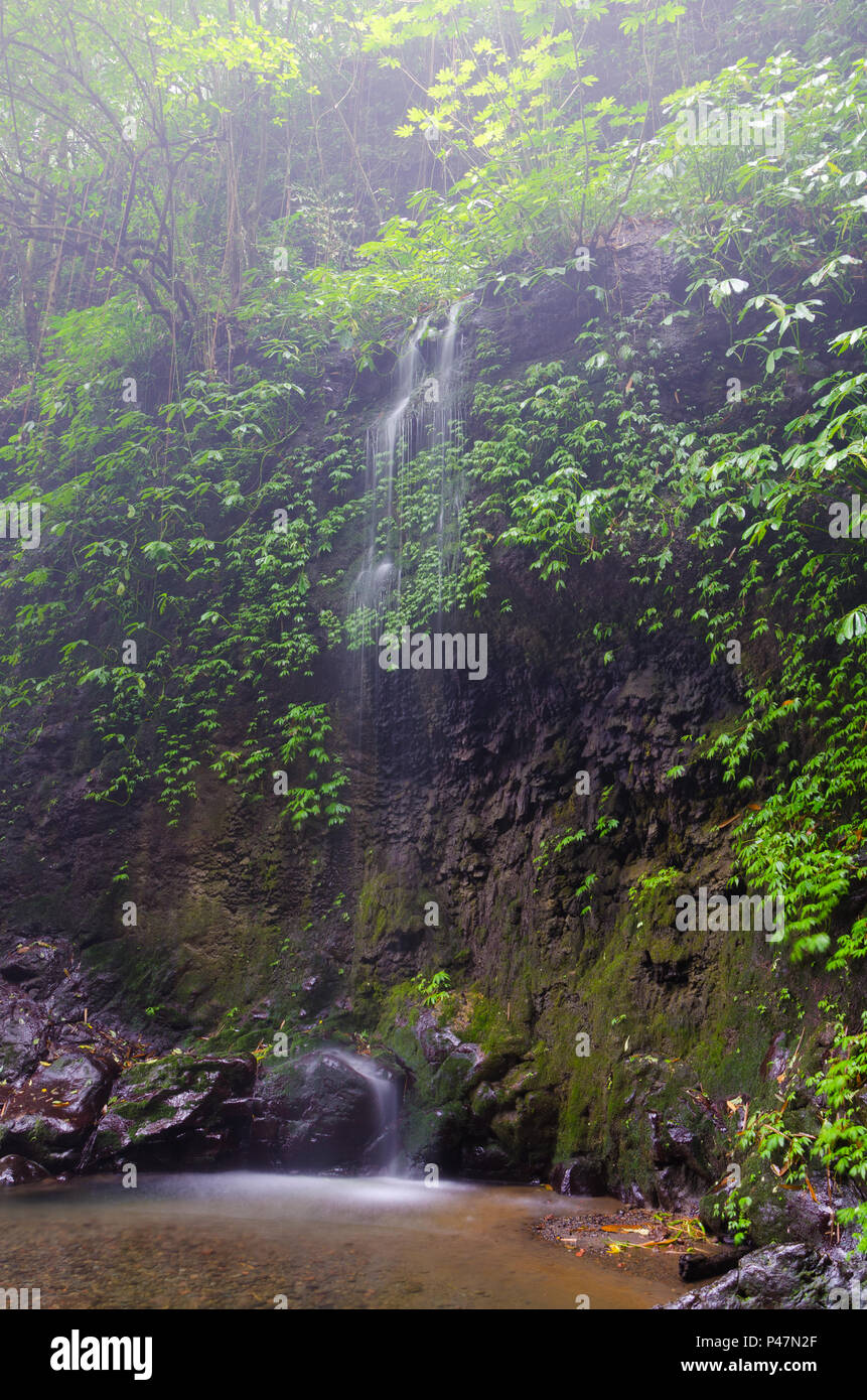 Git Git Waterfall, Bali, Indonesia, Asia Stock Photo - Alamy