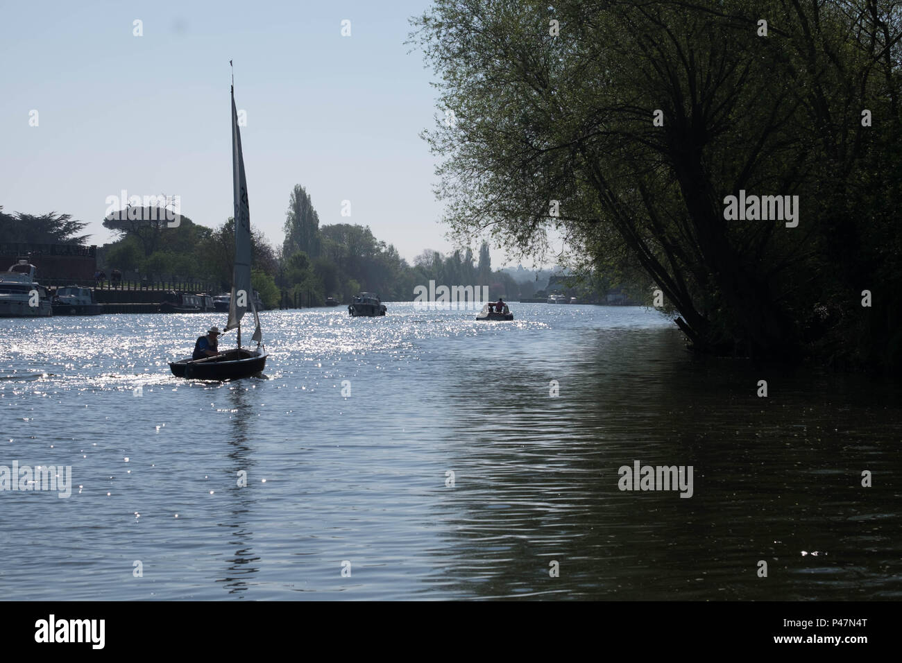 sail boats on the thames Stock Photo - Alamy