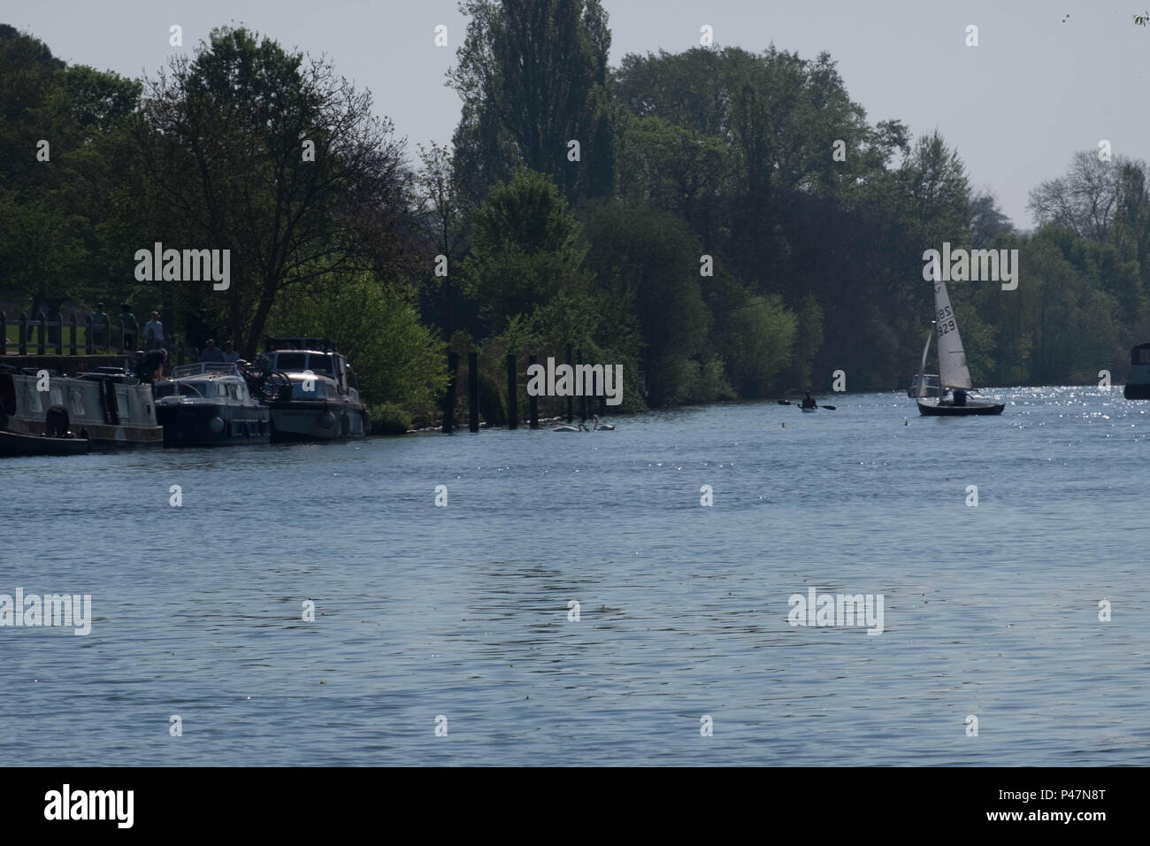 sail boats on the thames Stock Photo - Alamy