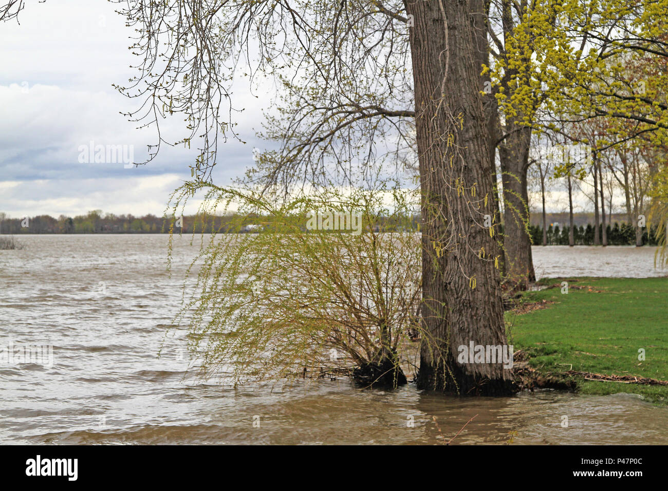Rising spring waters causing flooding of properties Stock Photo - Alamy