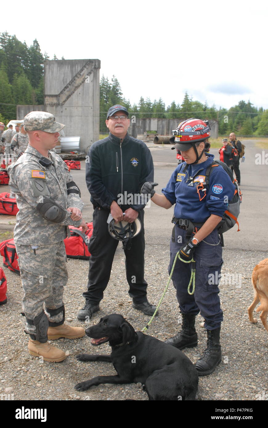 Athena rising hi-res stock photography and images - Alamy