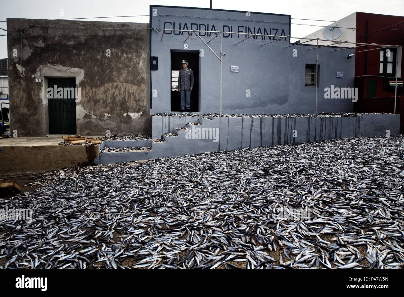 Original Film Title: TERRAFERMA. English Title: TERRAFERMA. Film ...