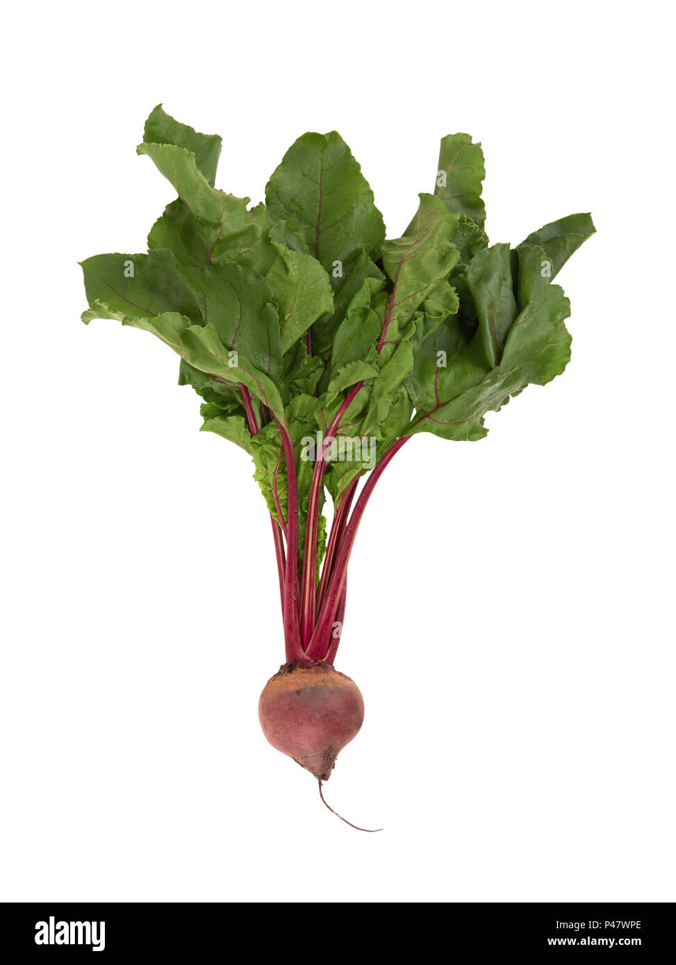 Beetroot with leaves isolated on white background Stock Photo - Alamy