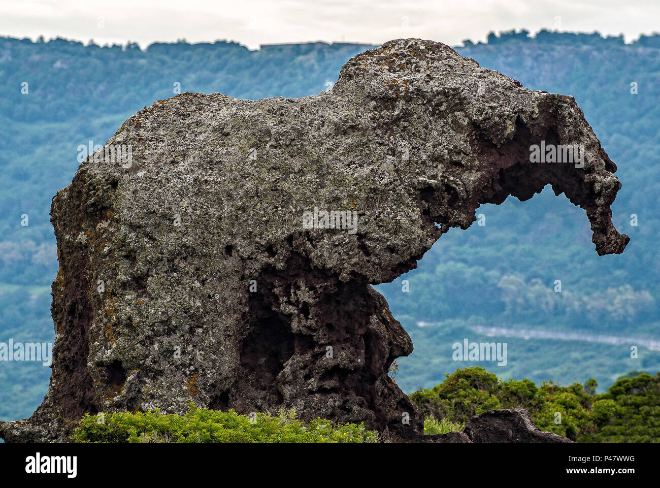 Italy Sardinia Anglona Castelsardo elephant rock Stock Photo - Alamy