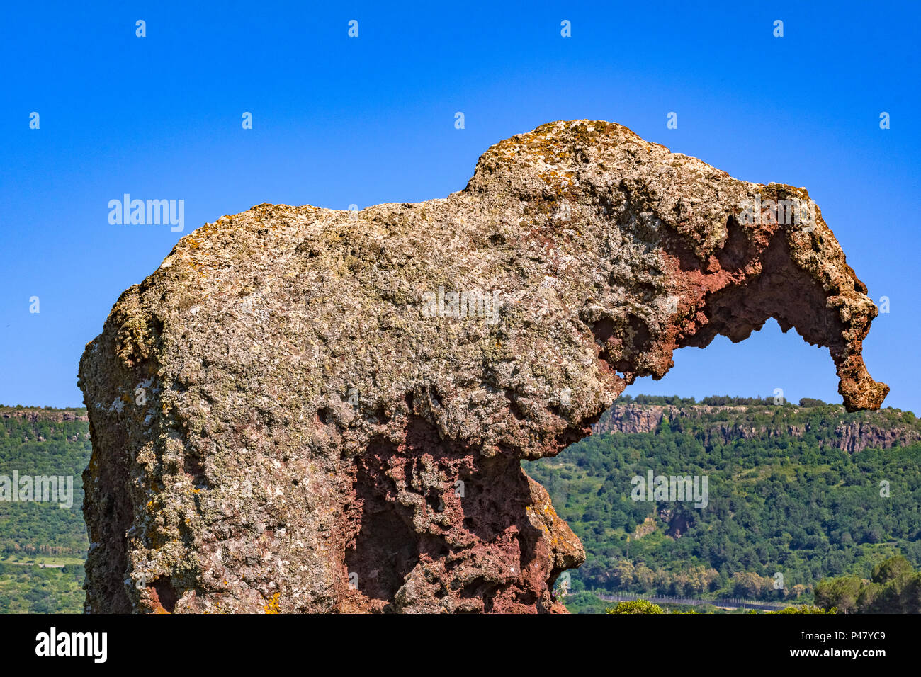 Italy Sardinia Anglona Castelsardo elephant rock Stock Photo - Alamy