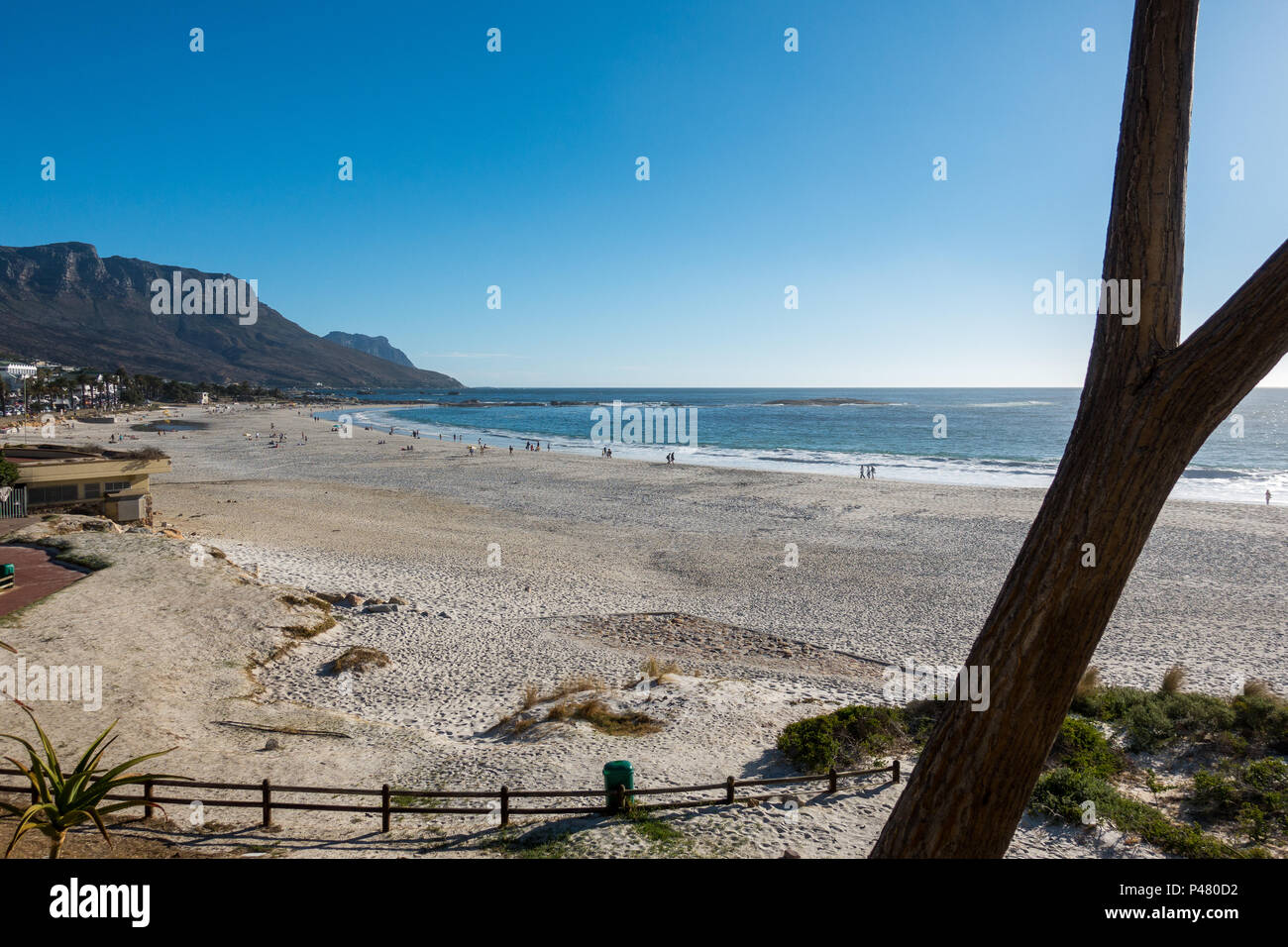 Barren trees and beach hi-res stock photography and images - Alamy