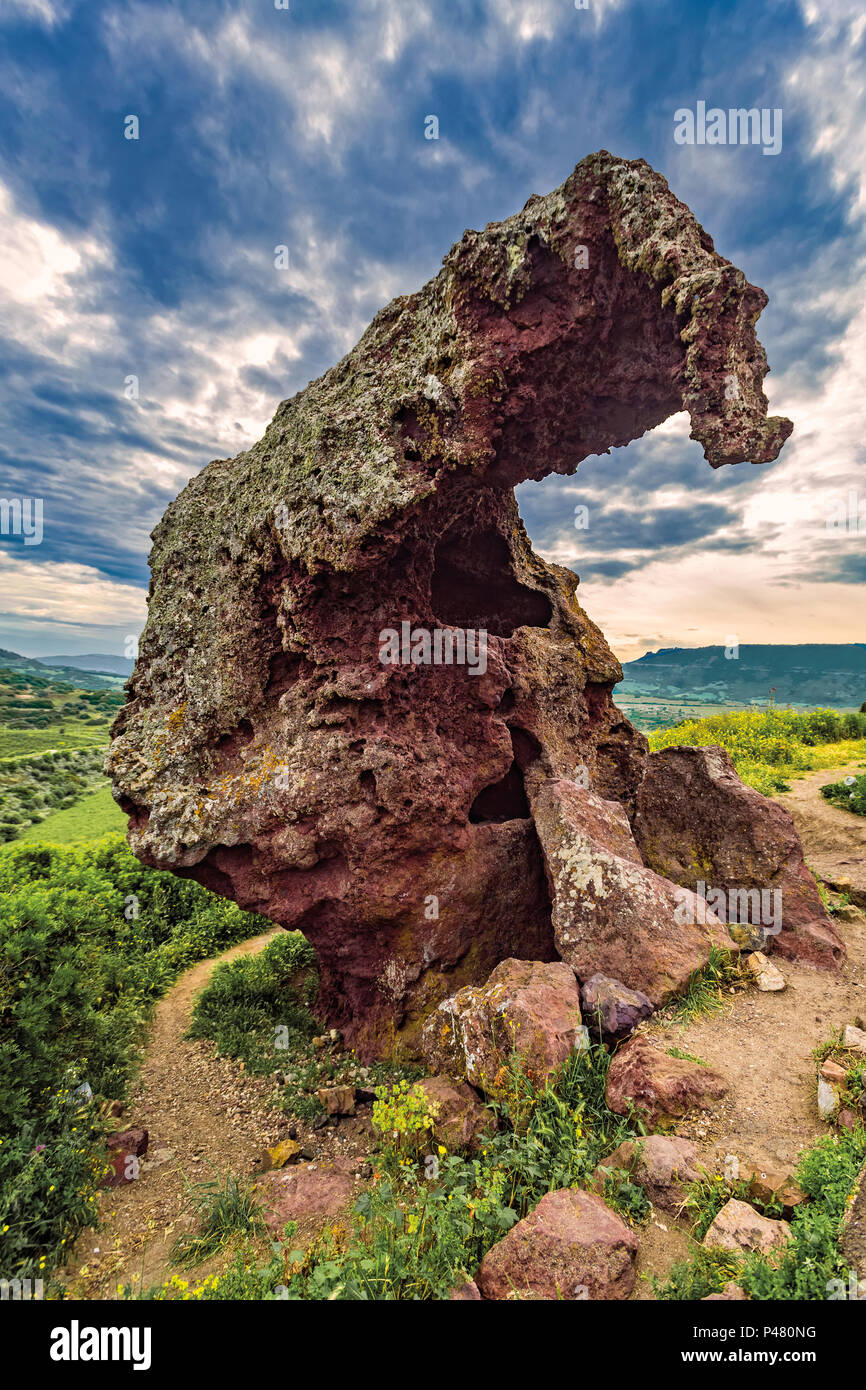 Italy Sardinia Anglona Castelsardo elephant rock Stock Photo - Alamy