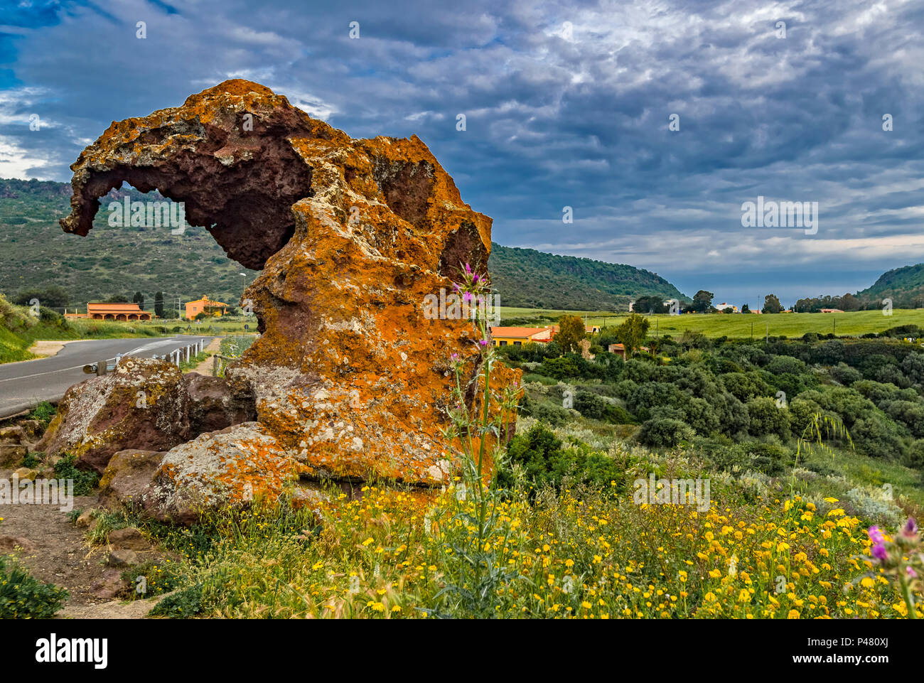Italy Sardinia Anglona Castelsardo elephant rock Stock Photo - Alamy