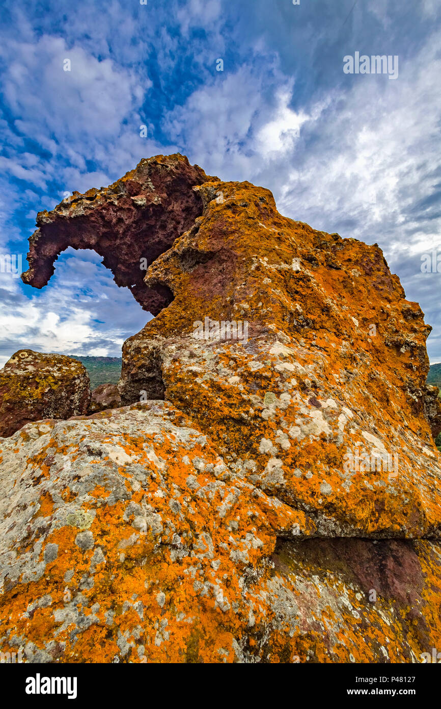 Italy Sardinia Anglona Castelsardo elephant rock Stock Photo - Alamy