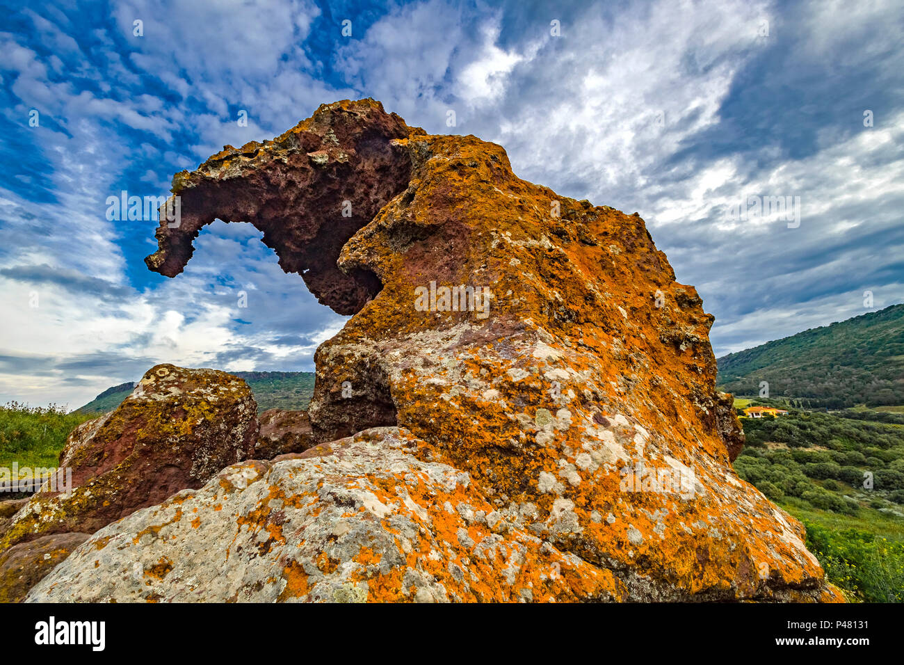 Italy Sardinia Anglona Castelsardo elephant rock Stock Photo - Alamy