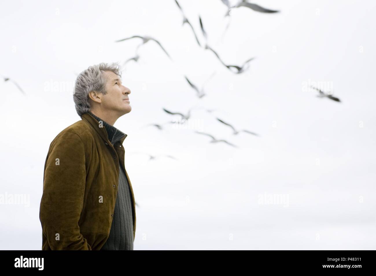 Original Film Title: NIGHTS IN RODANTHE. English Title: NIGHTS IN ...