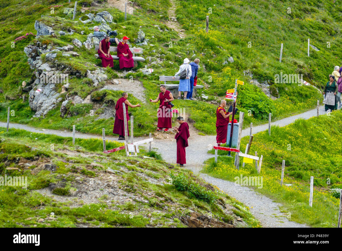 Tibetan Buddhist monks in red robes, in Switzerland Stock Photo - Alamy