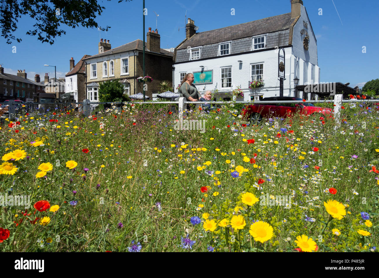 The sun inn pub barnes hi-res stock photography and images - Alamy