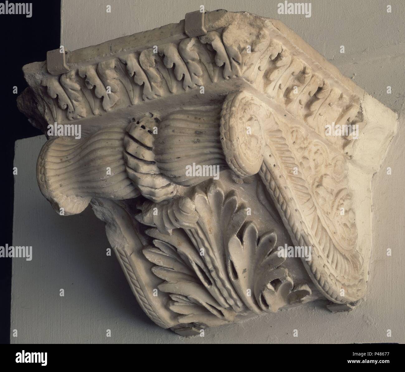 Mensula hi-res stock photography and images - Alamy