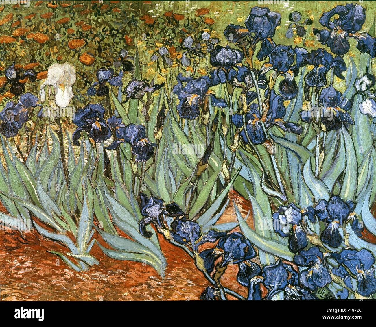 Dutch school. Irises. 1889. Oil on canvas (71 x 93 cm). Los Angeles ...