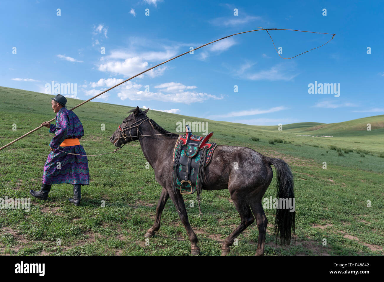 Horseman carries rope and pole urga or lasso and leads his horse uphill ...