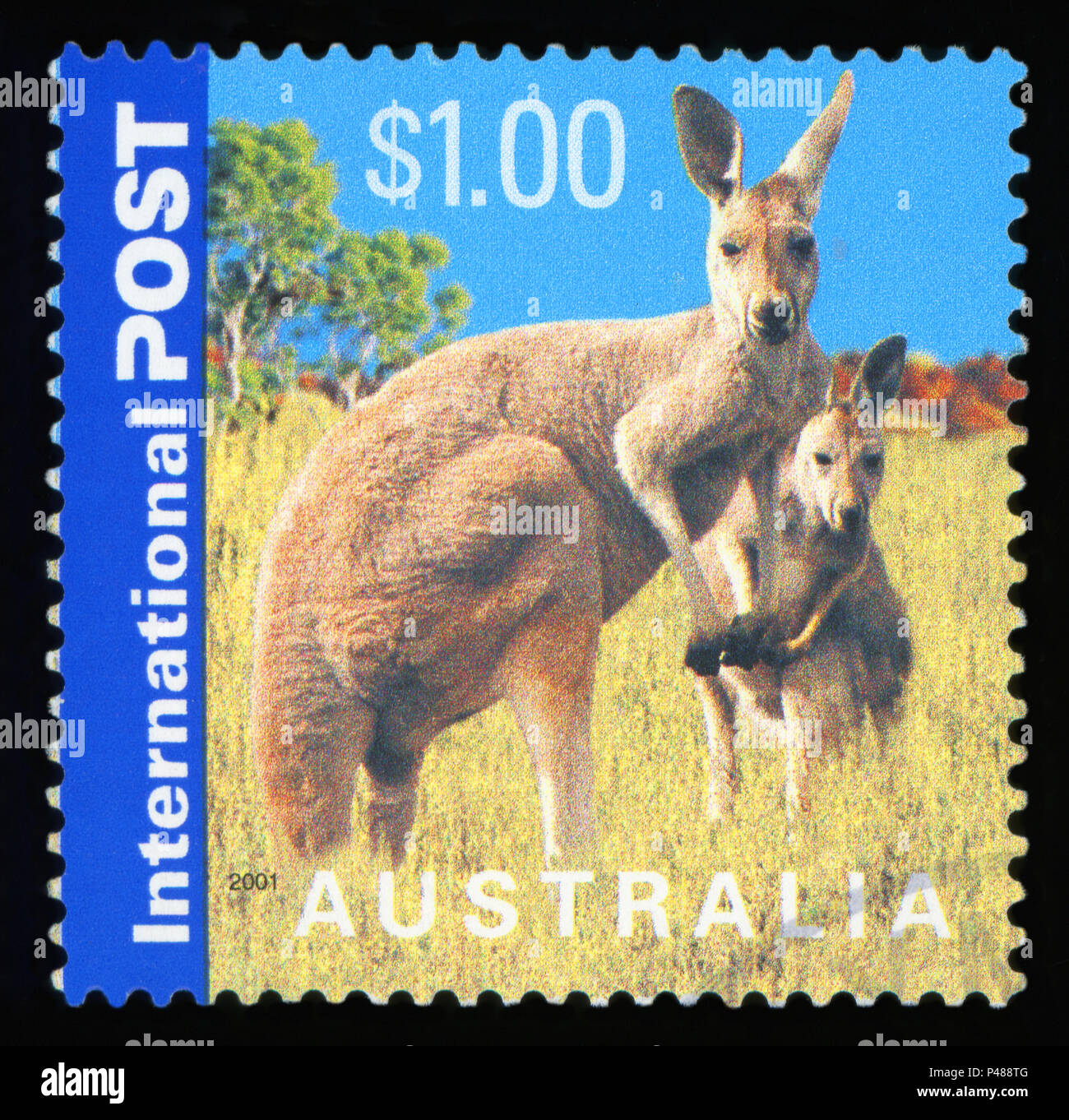 AUSTRALIA - CIRCA 2001: A stamp printed in Australia shows Kangaroos ...