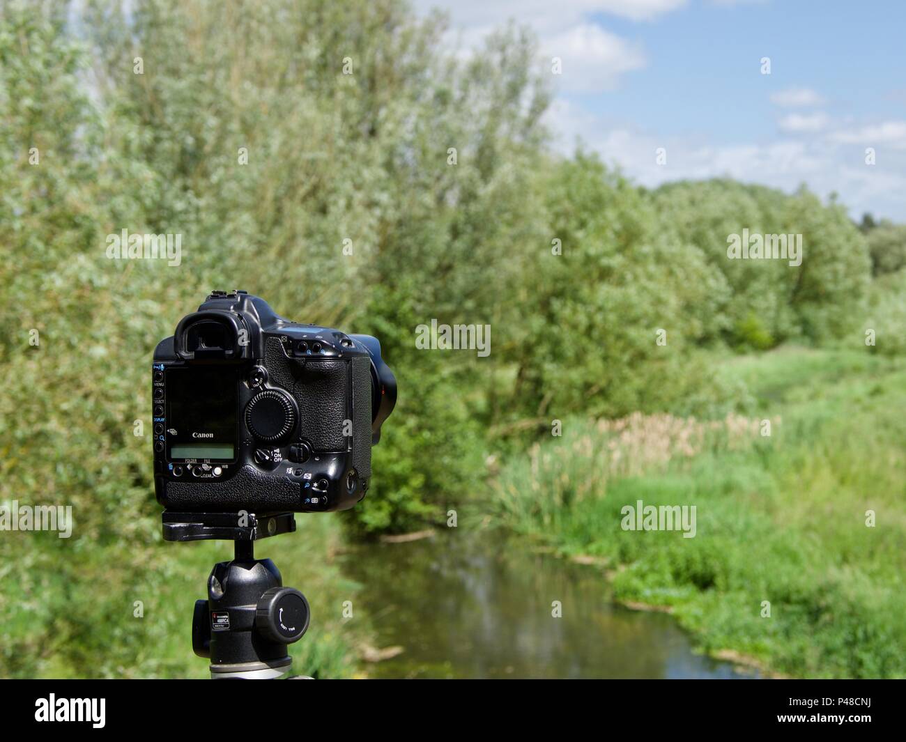 Setting Up The Camera For A Picture Stock Photo Alamy