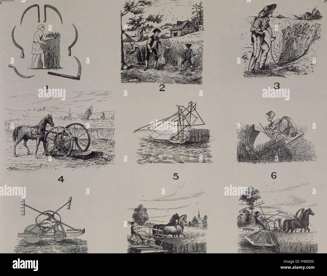 Segar segar segar hi-res stock photography and images - Alamy